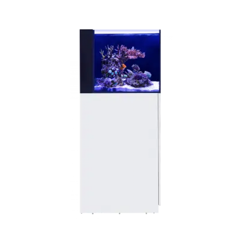 Red Sea DESKTOP Peninsula Aquarium & White Cabinet at Kraken Corals