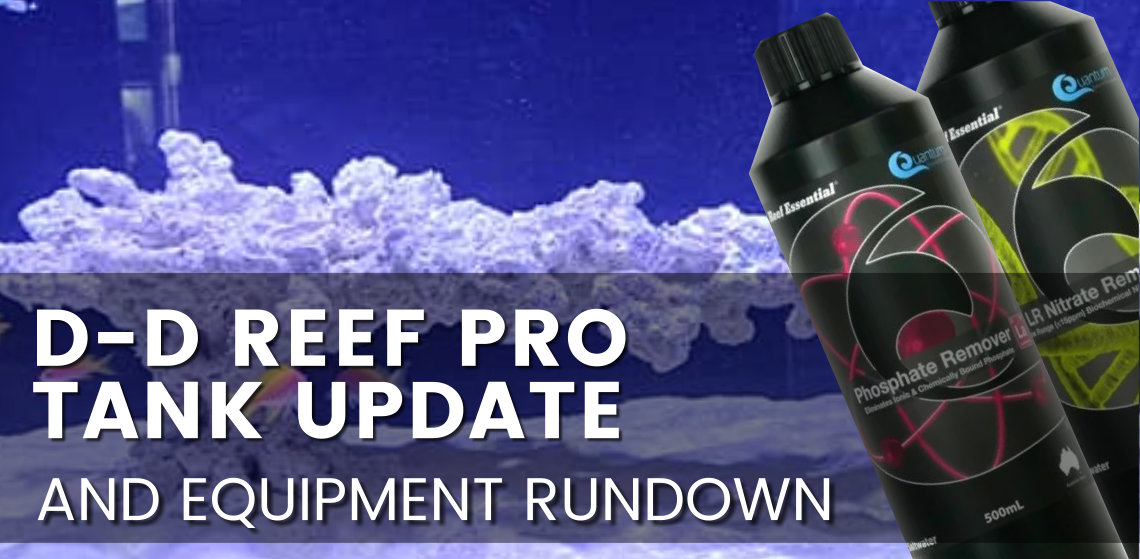 D-D Reef Pro 1200 Tank Update | Kraken Corals